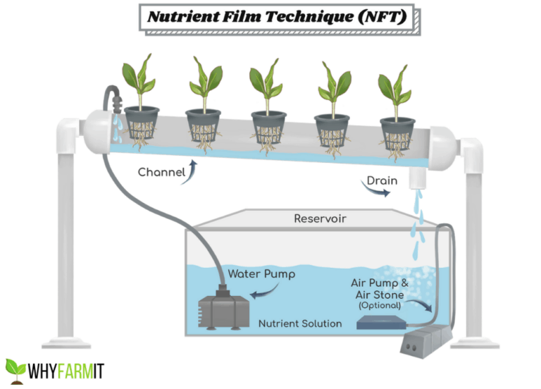NFT Hydroponics: Basics, Setup, Pros/Cons, FAQ - WhyFarmIt.com NFT Hydroponics: Basics, Setup, Pros/Cons, FAQ - WhyFarmIt.com