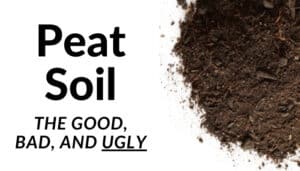 Peat Soil: The Good, the Bad & the Ugly + Tips for Use