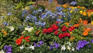 25 Traditional Italian Flowers To Add to Your Garden