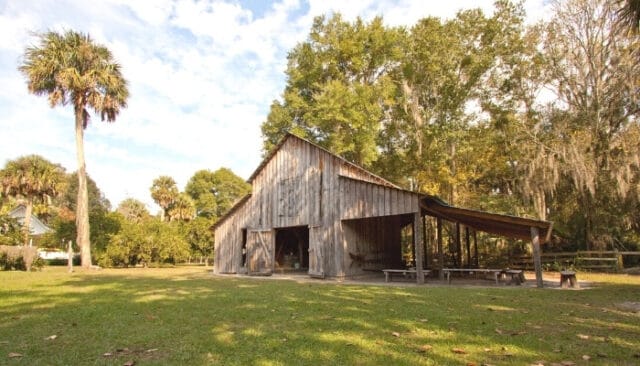 Homesteading in Florida: Laws, Finding Land, Resources & More
