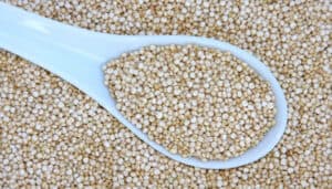 Quinoa Sprouts: Benefits, Uses, Directions & Troubleshooting