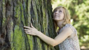 How Much Does a Tree Weigh? Easy Formula & Affecting Factors