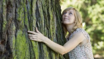 How Much Does a Tree Weigh? Easy Formula & Affecting Factors