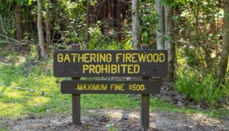 Collecting Wood From Fallen Trees: When It Is Not Legal